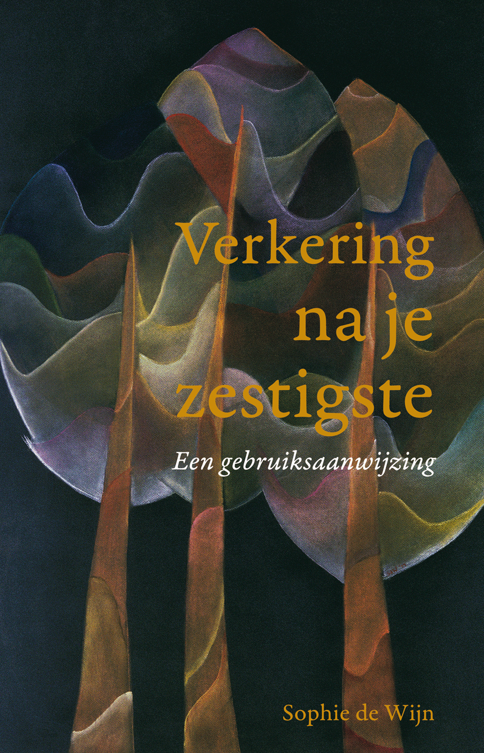 Verkering na je zestigste - 9789066658639 - Uitgeverij SWP